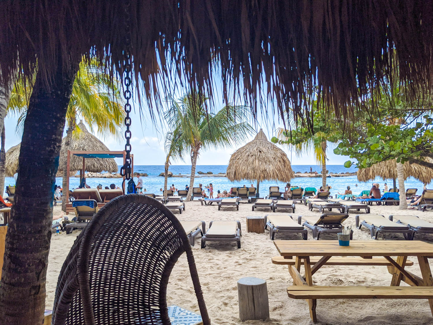 My Heart Belongs to Curaçao! | Dr. Flamingo